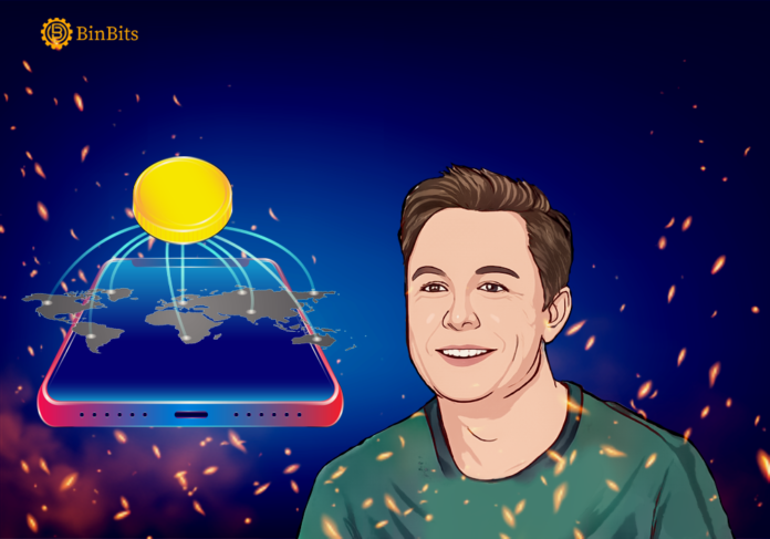 Decentralized Crypto and the Elon Musk Effect - BinBits